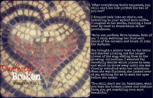 Perfectly Broken by Maegan Abel Review and Giveaway